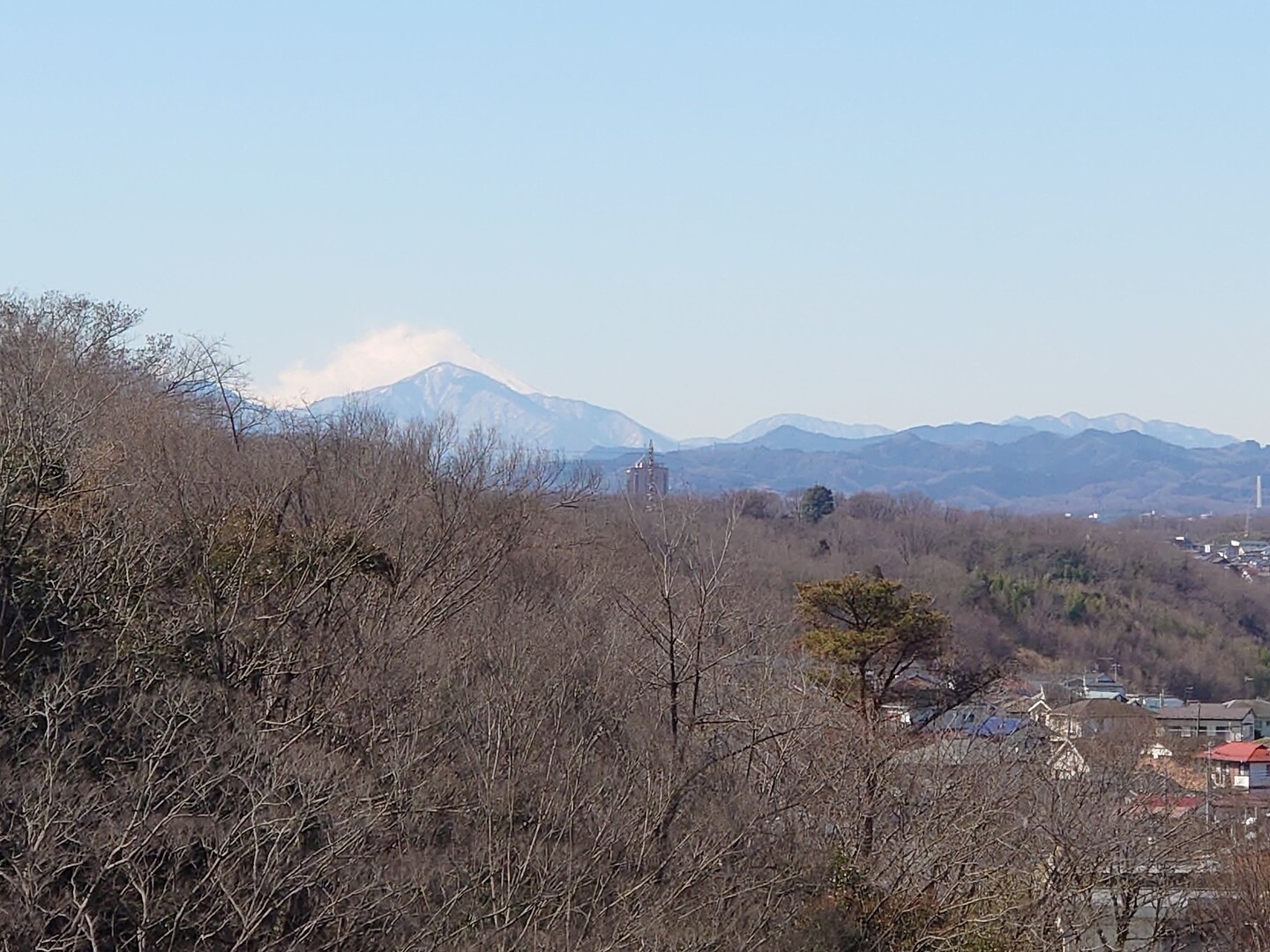 漢方煎じ薬でお世話になっているセリバオウ... / mieeさんのモーメント | YAMAP / ヤマップ