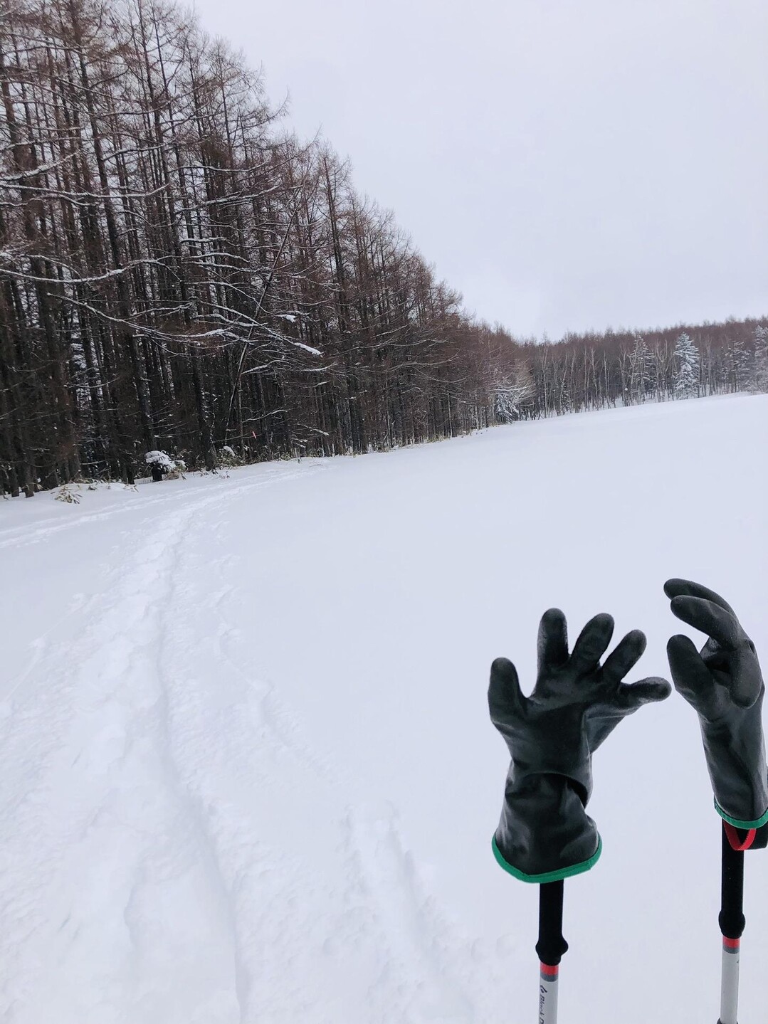 電柱山 / kyonさんの丸山・三面山・シラッケ山の活動データ | YAMAP / ヤマップ