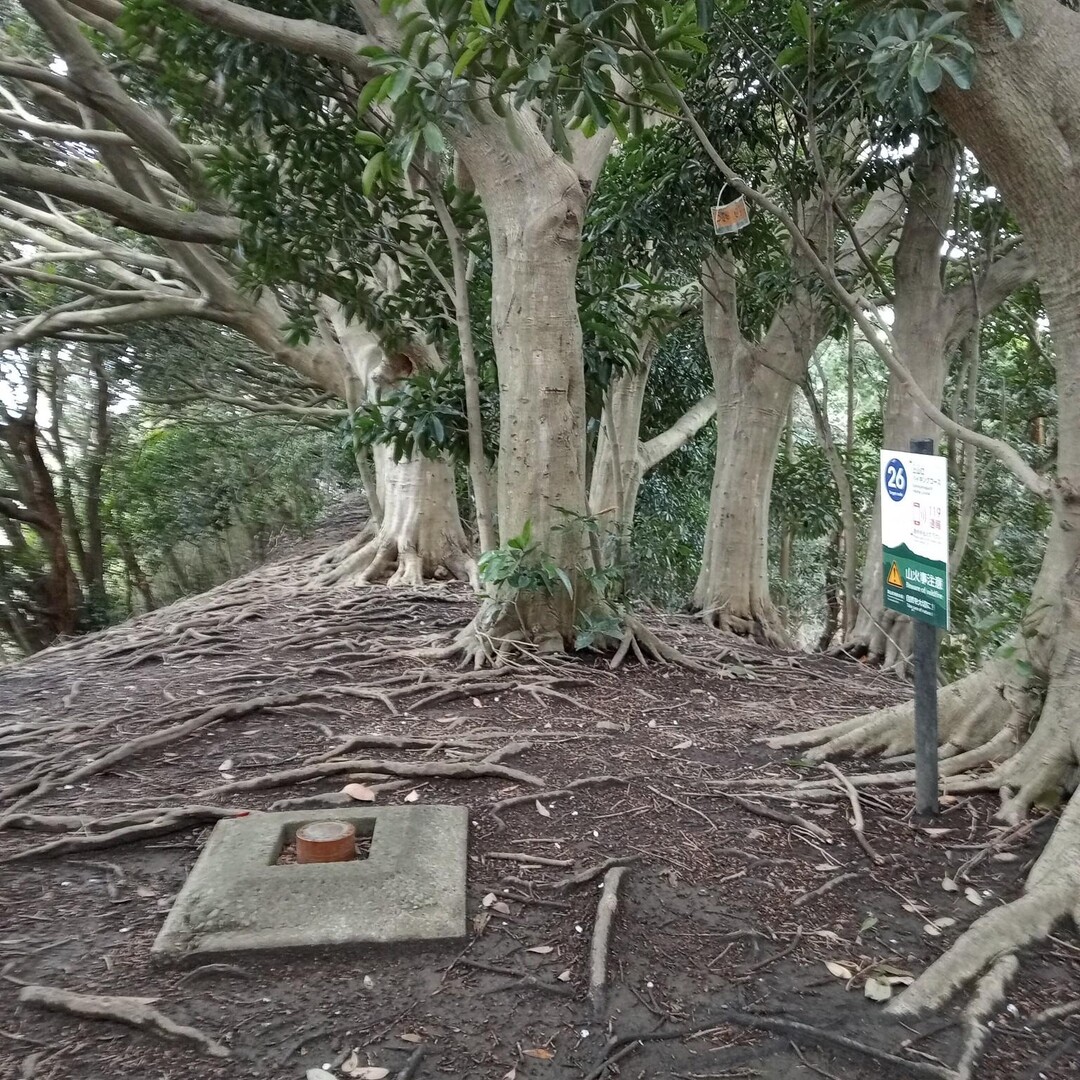 NTNさんの投稿したフィールドメモ | YAMAP / ヤマップ