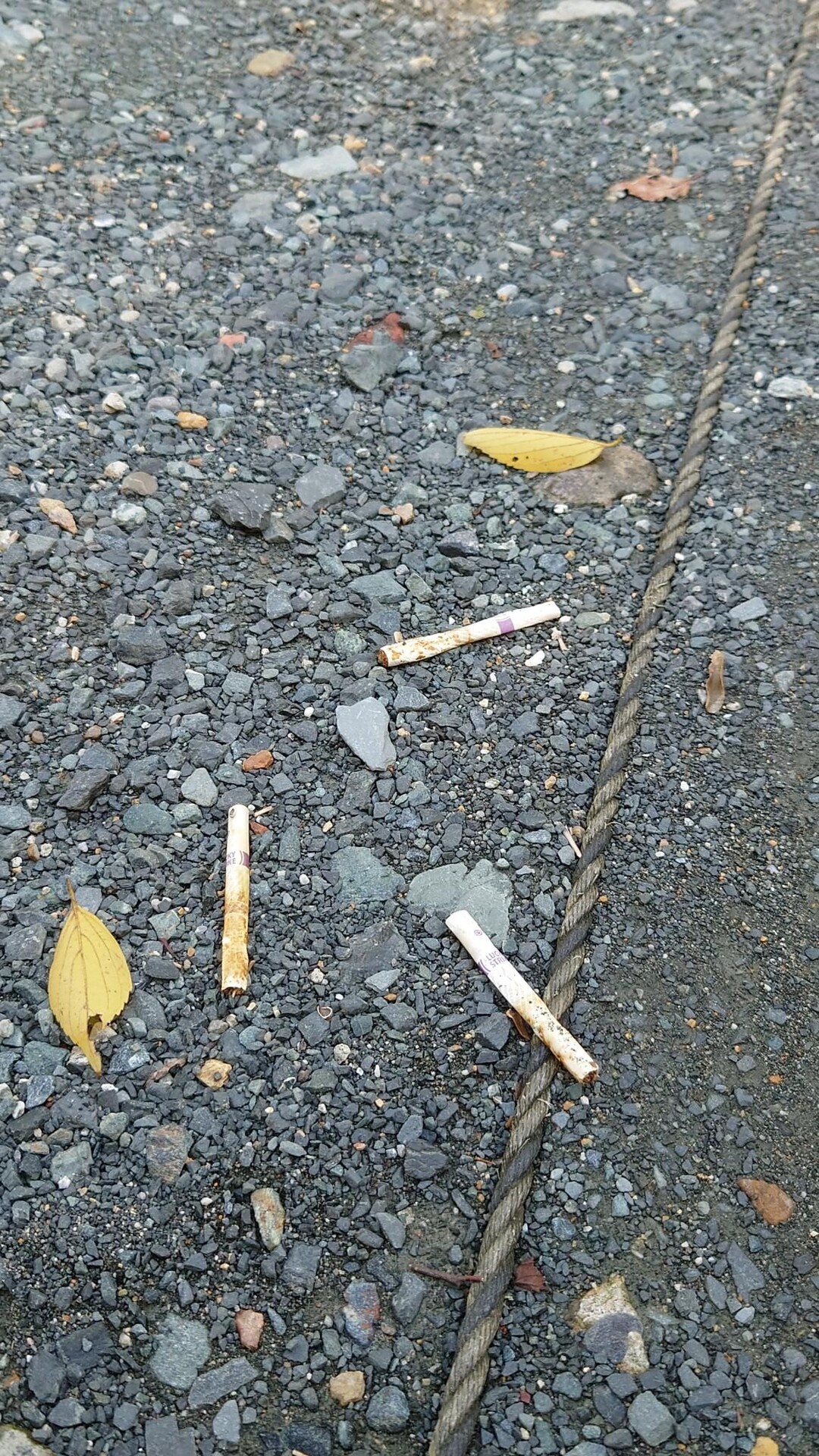 悲しいことだ。葦毛湿原駐車場にて。＃葦毛... / Detuさんのモーメント | YAMAP / ヤマップ