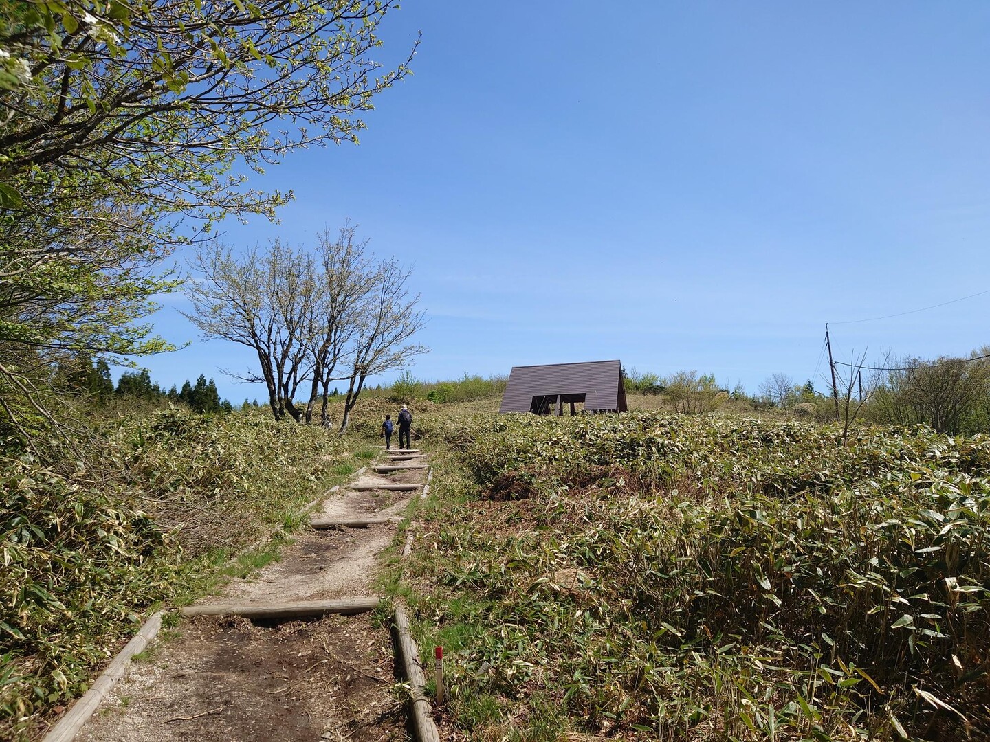 高清水高原・大畝山・御林山・池川山・ブナの谷頭 2024.4.28 / saiさんの伯州山・霧ヶ原の活動データ | YAMAP / ヤマップ