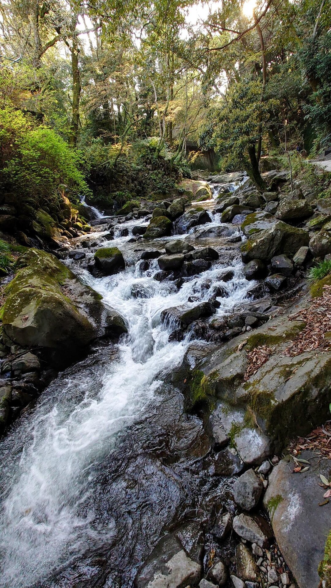 久しぶりの家族旅行。 静かな湯河原温泉に... / yanagingさんのモーメント | YAMAP / ヤマップ