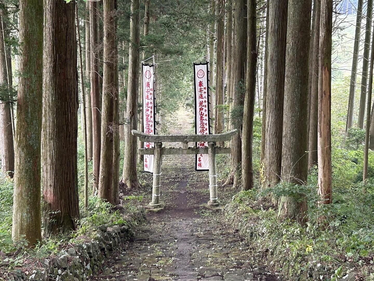 荒戸山 / KAZU3さんの荒戸山の活動データ | YAMAP / ヤマップ