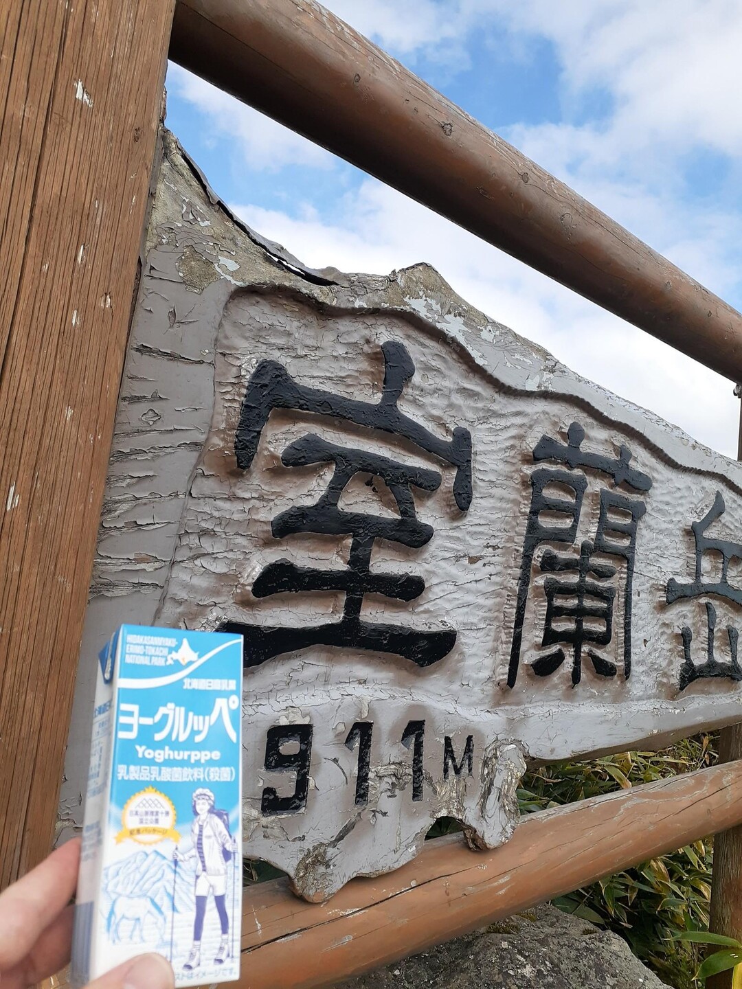 鷲別岳（室蘭岳） / つむぎさんの鷲別岳（室蘭岳）・カムイヌプリの活動データ | YAMAP / ヤマップ