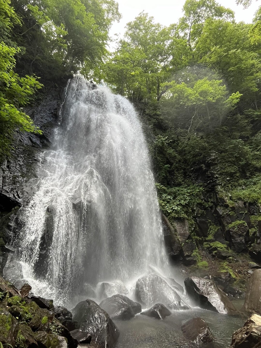 暑い🥵 涼みに行こう♡ 水が痛いほど冷... / BLUEさんのモーメント | YAMAP / ヤマップ