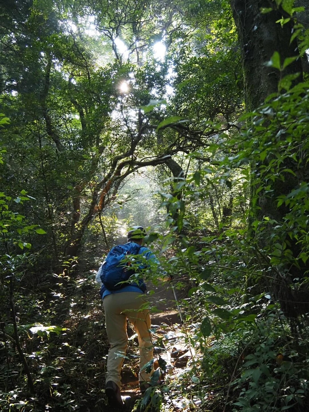 山友さんからの誘いがあって、見たことがな... / sayoさんのモーメント | YAMAP / ヤマップ