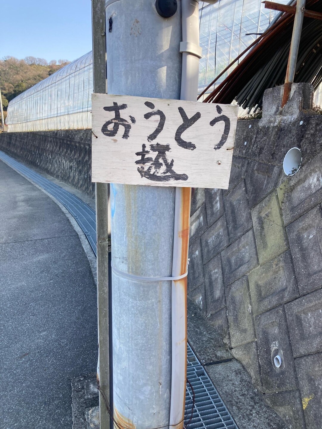 おうとう越から高安山ら辺うろうろmsr0331さんと一緒に(^^) / いしころさんの生駒山・神津嶽・大原山の活動日記 | YAMAP / ヤマップ
