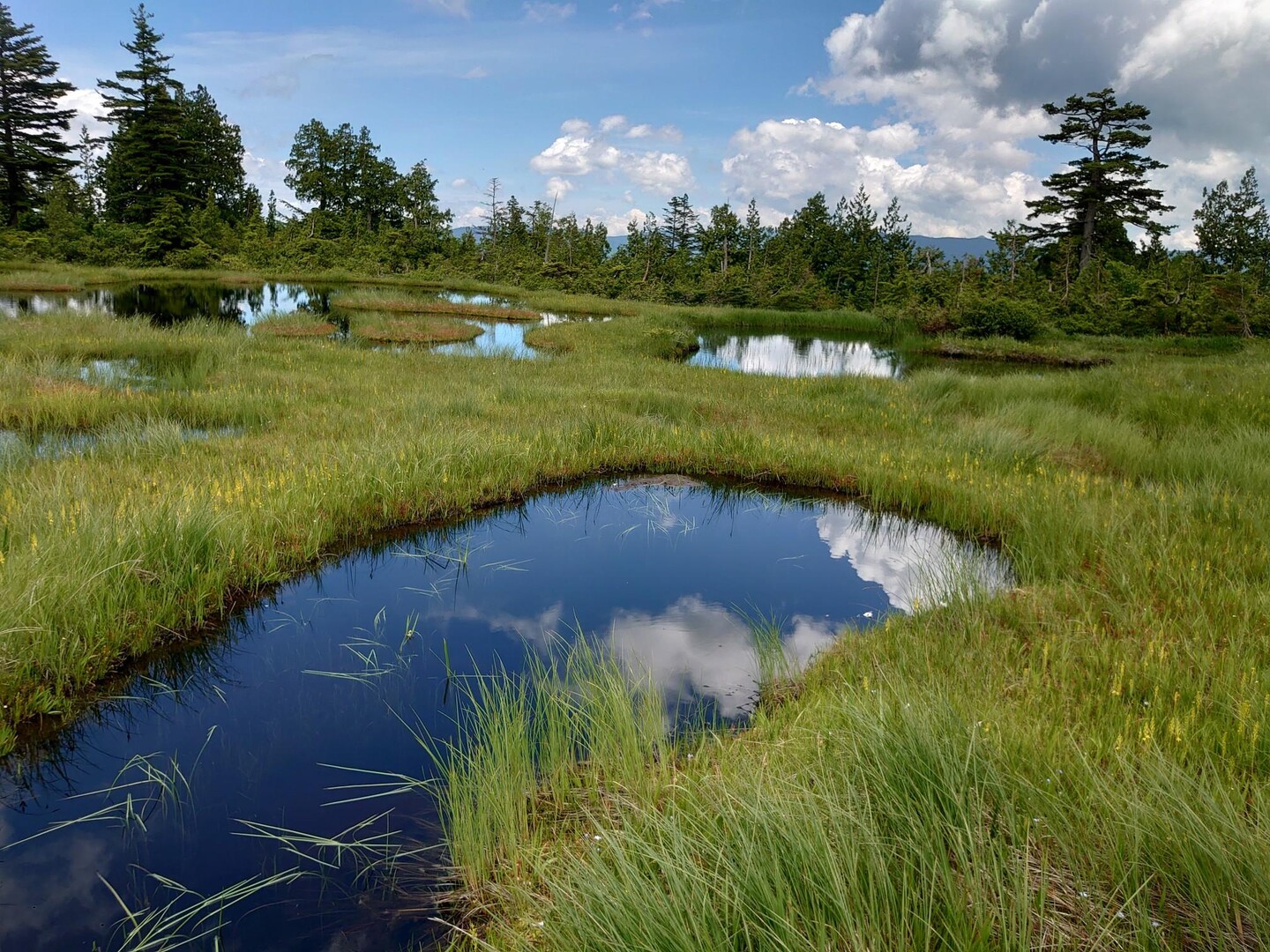 足元に広がる空 尾瀬山歩 / mieeさんの尾瀬・燧ヶ岳の活動データ | YAMAP / ヤマップ