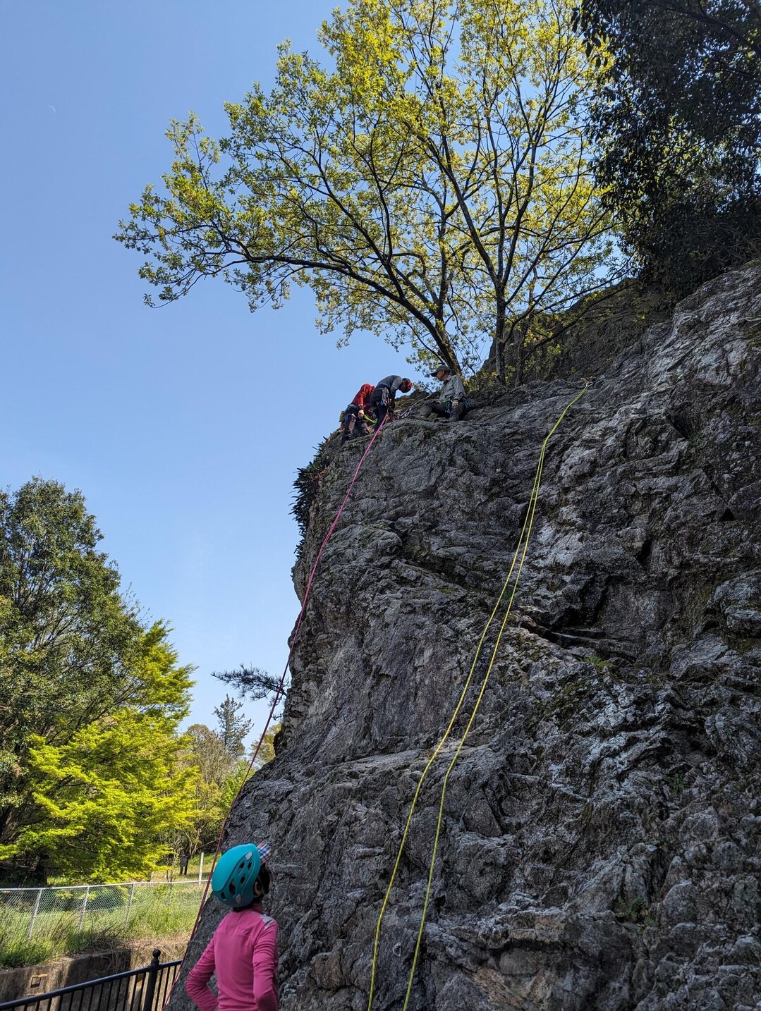 伊木山にて 初めてのロープワーク ロープ... / さとみんさんのモーメント | YAMAP / ヤマップ