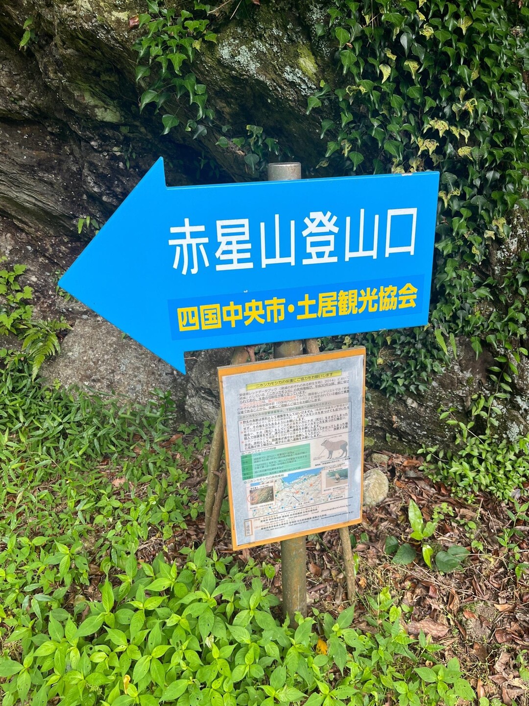 赤星山 / KRTさんの赤星山・豊受山の活動日記 | YAMAP / ヤマップ