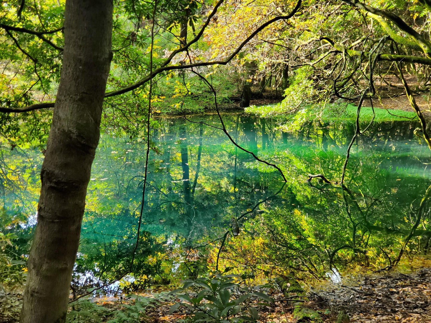山形百名山めぐり旅、とっても楽しかった！... / mioさんのモーメント | YAMAP / ヤマップ