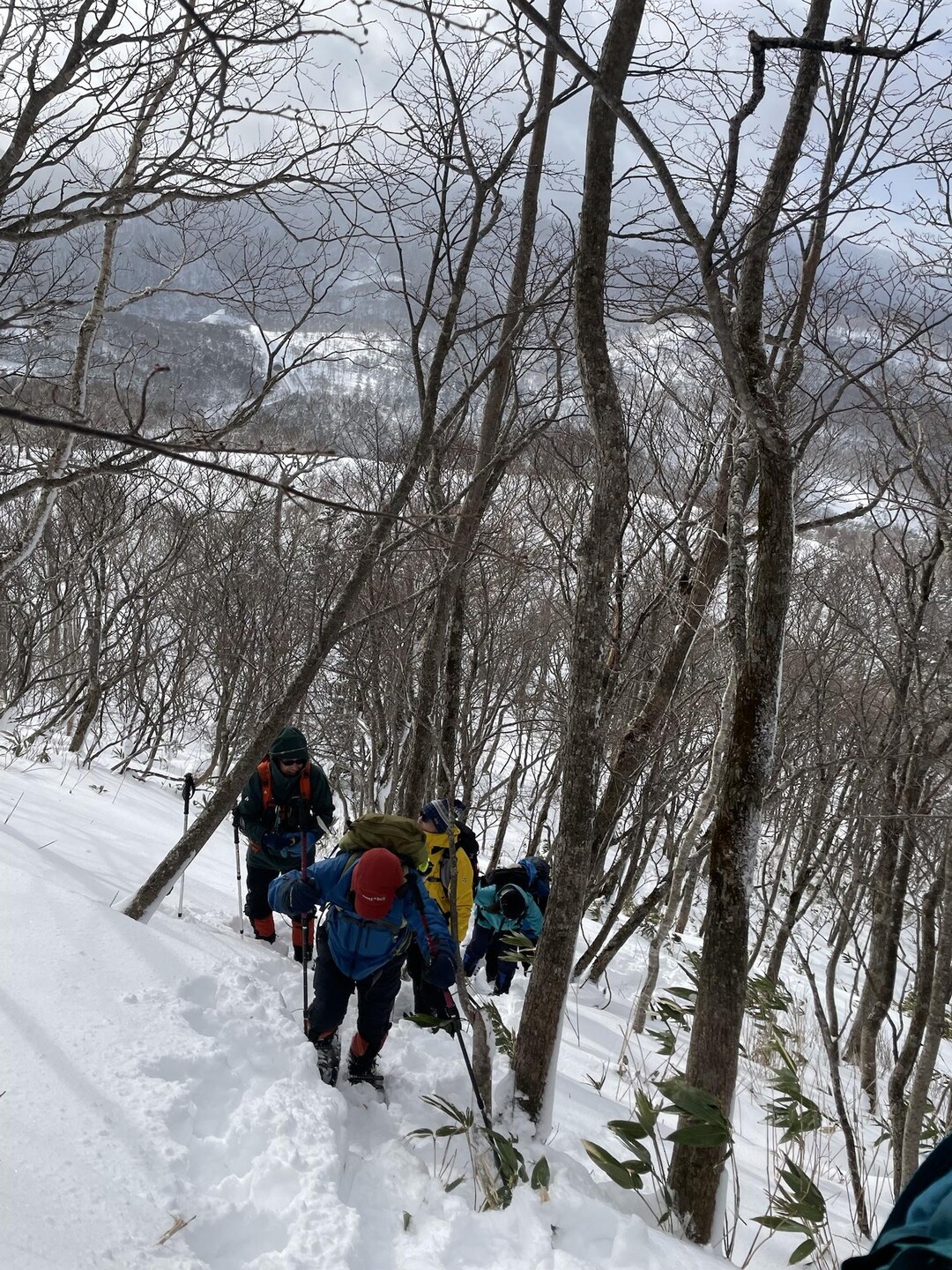 南白老岳・白老岳 / rurutetuさんの白老岳の活動データ | YAMAP / ヤマップ