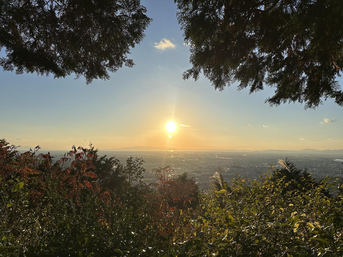 高良山 / yukaさんの高良山・発心山・鷹取山の活動データ | YAMAP / ヤマップ