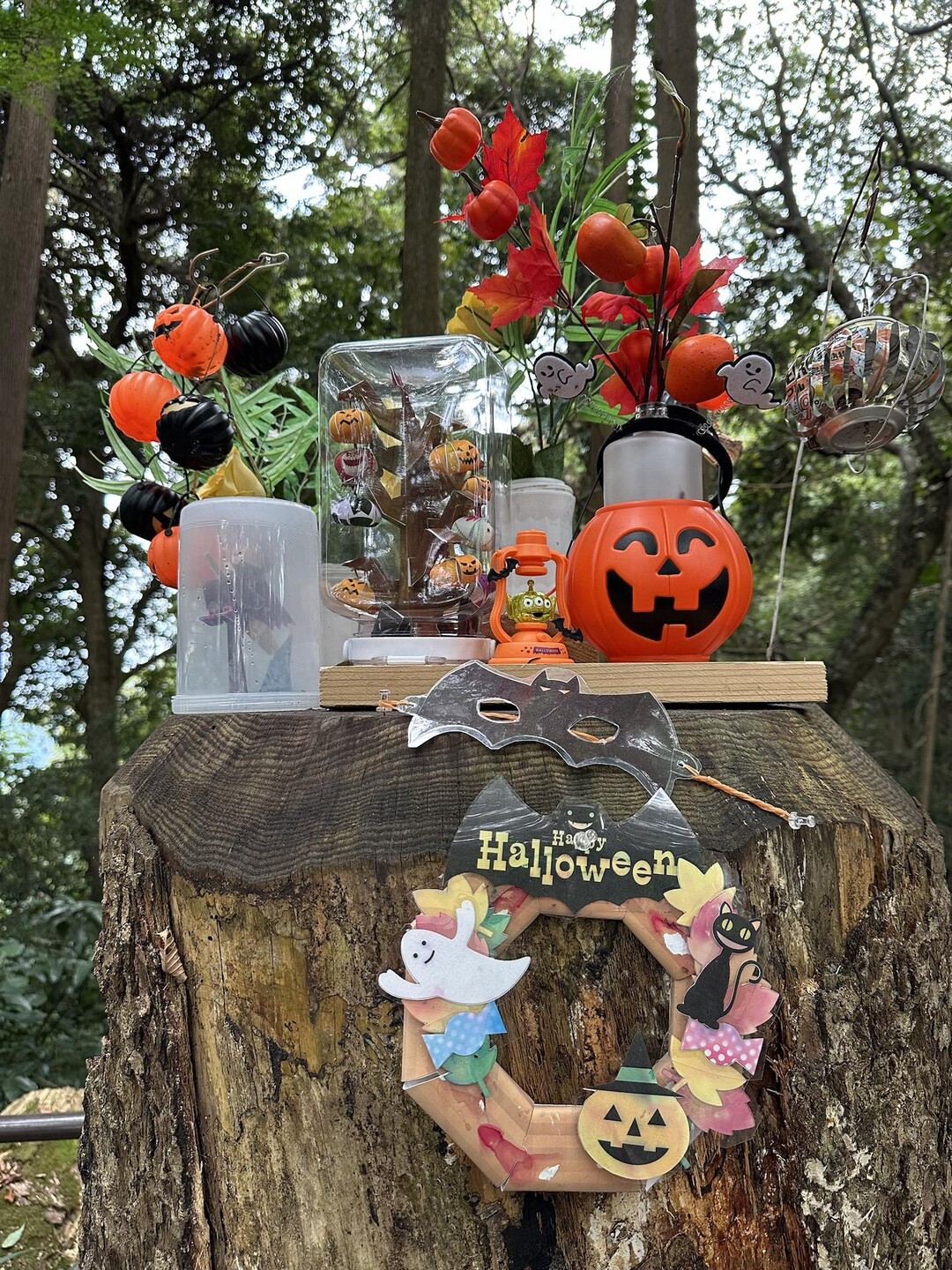 景信山〜高尾山 October 2024 / chausudakeさんのウォーキングの活動データ | YAMAP / ヤマップ