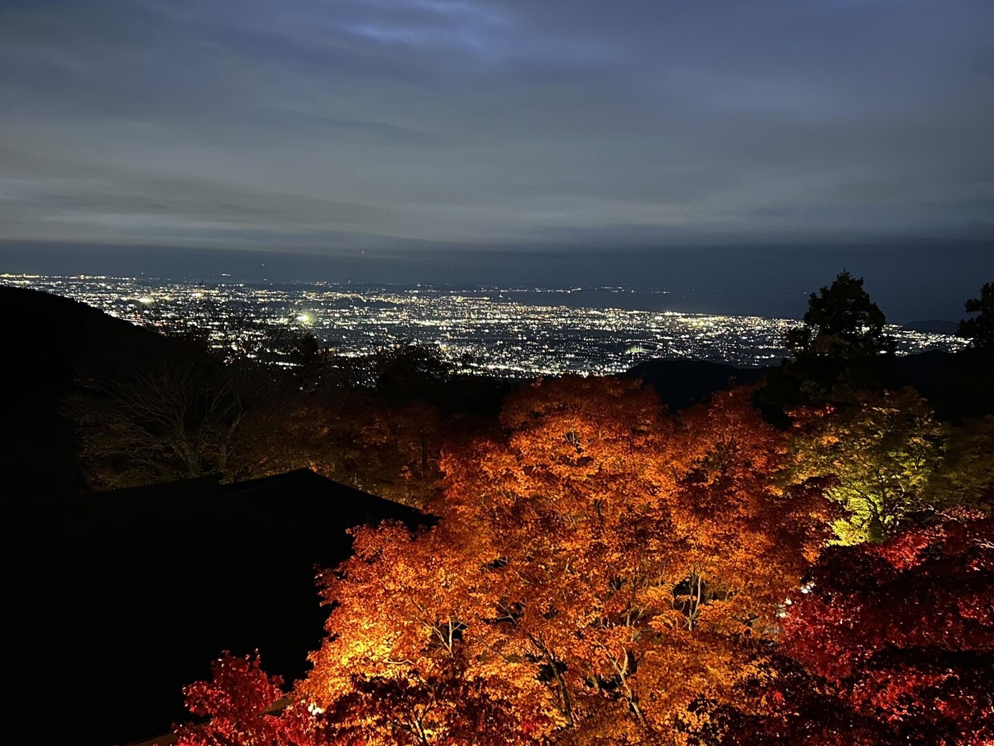 大山 / Doraユーザーさんの大山の活動データ | YAMAP / ヤマップ
