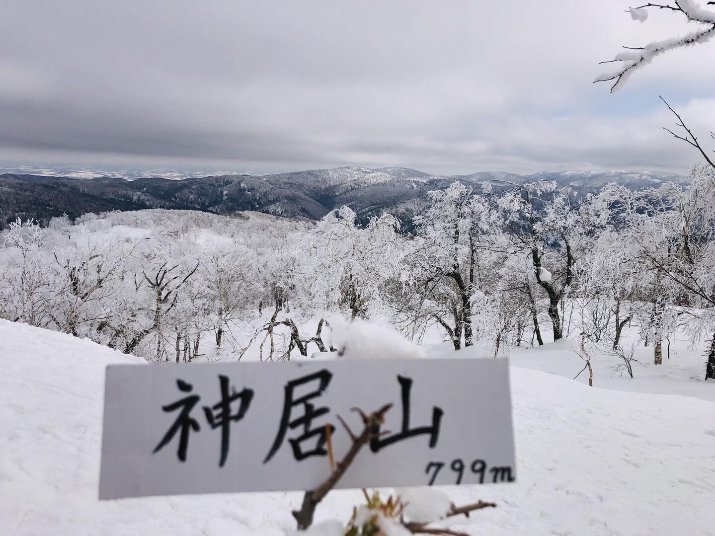 神居山799m(南ルート) / FUM!さんの神居山の活動データ | YAMAP / ヤマップ