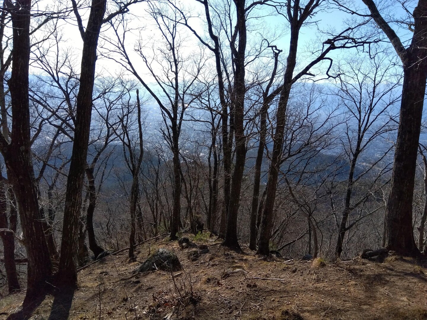 taiidanaさんの投稿したフィールドメモ | YAMAP / ヤマップ