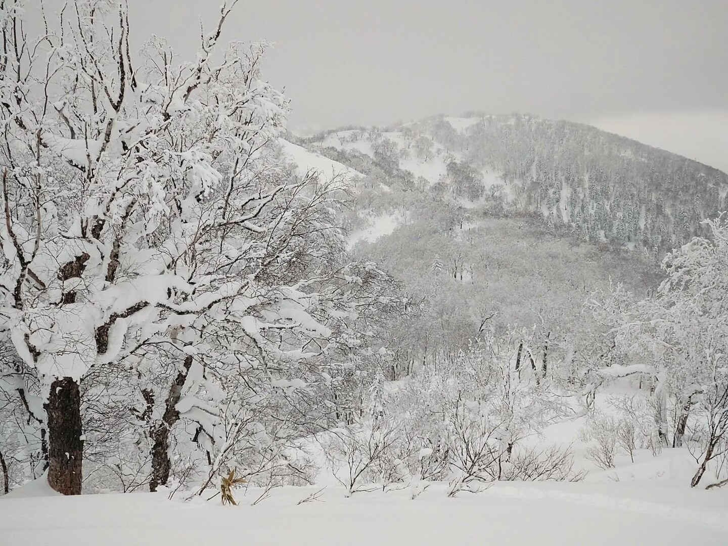 天幕山リターンズ / kiyo-ibaさんの天幕山の活動データ | YAMAP / ヤマップ