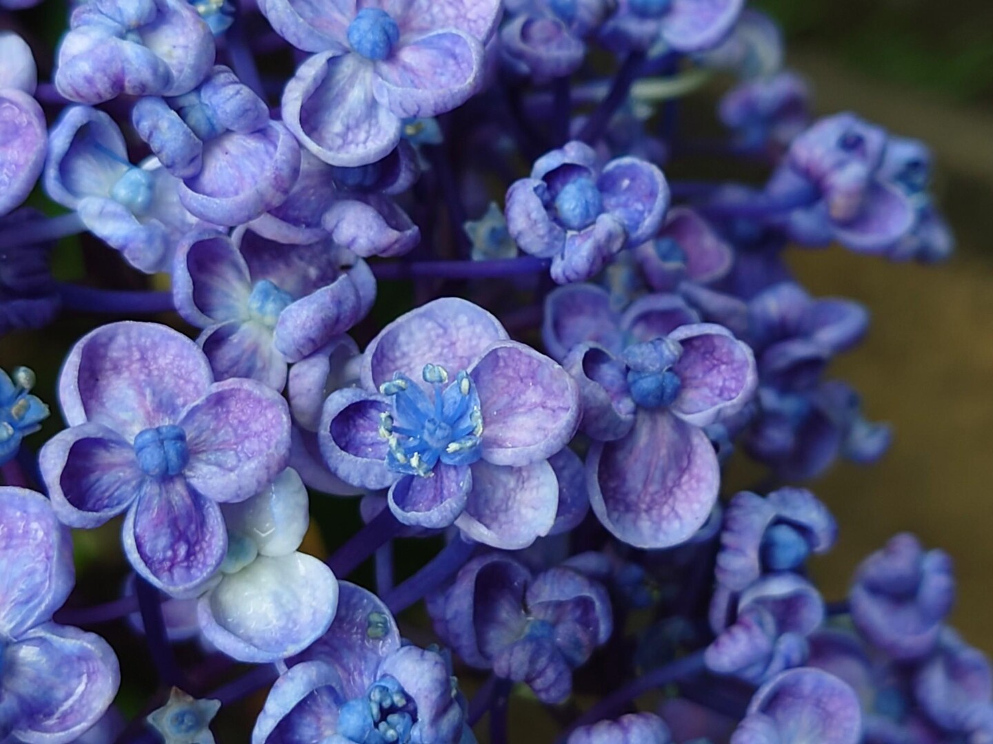 湘南アルプス / Takeさんの高麗山・湘南平・鷹取山の活動データ | YAMAP / ヤマップ