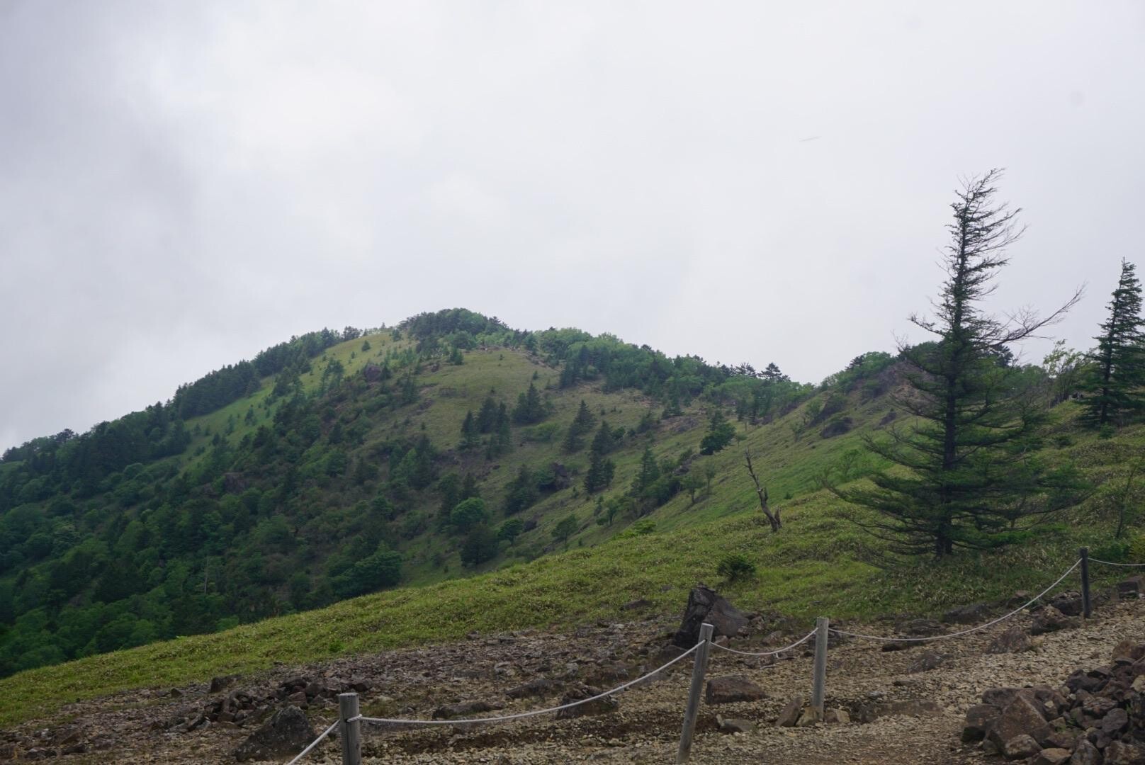 大菩薩嶺 桃ジュースはまだだったけど良い登山でした！ / suzuさんの大菩薩嶺・鶏冠山・大マテイ山の活動日記 | YAMAP / ヤマップ