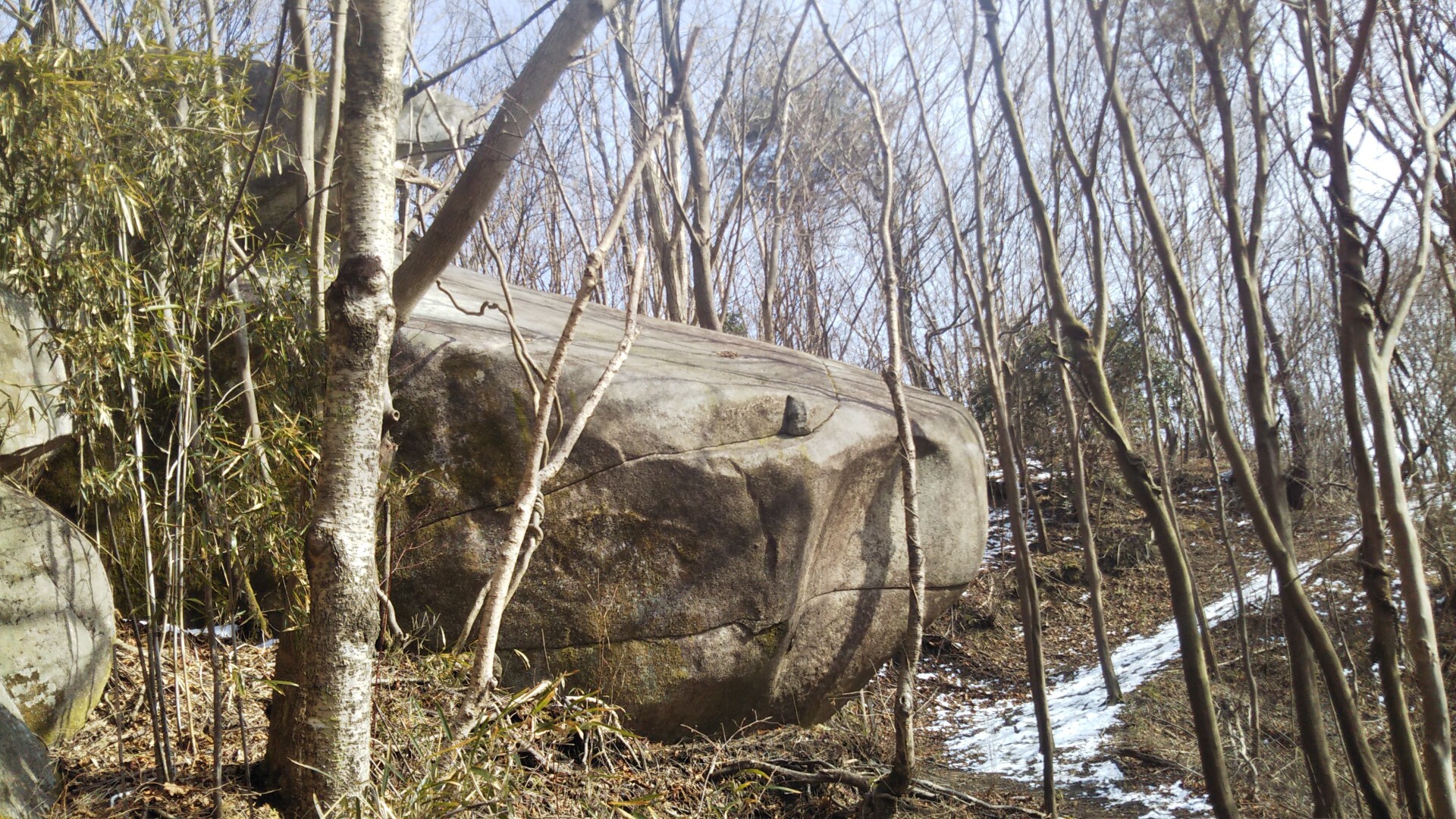 2022-02-12土岳599m. / サッチー。さんのウォーキングの活動データ | YAMAP / ヤマップ