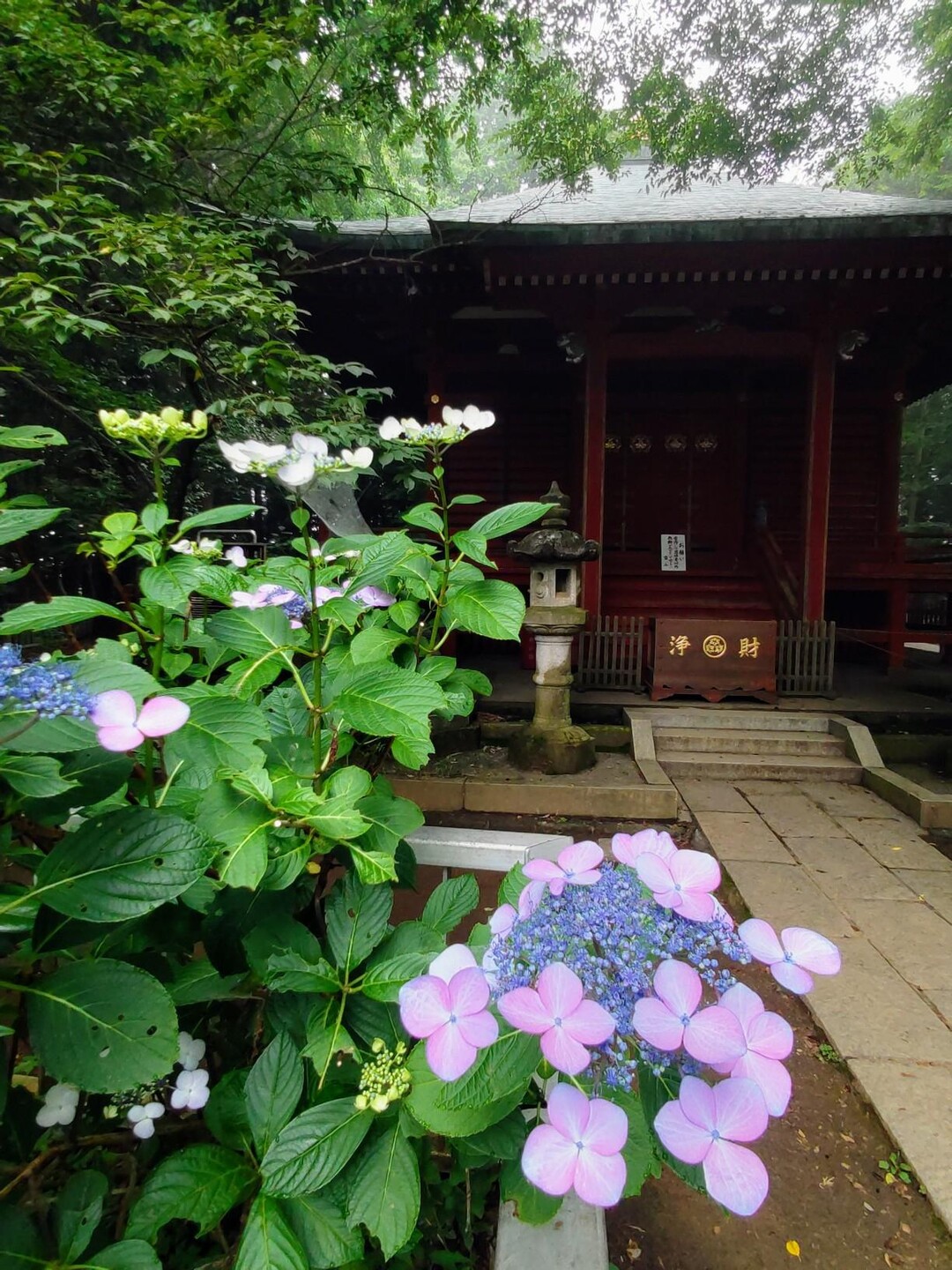 平日の静かな高尾に癒え～ の巻 / Yuuki.Yさんの高尾山・陣馬山・景信山の活動データ | YAMAP / ヤマップ