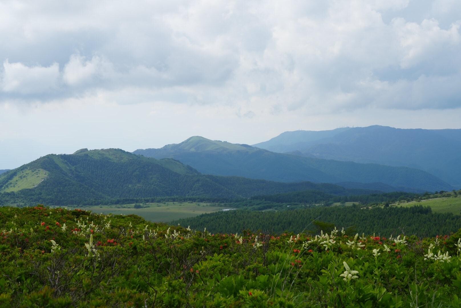 霧ヶ峰高原車山肩ビーナスの丘にコバイケイ... / リタイアSUPさんのモーメント | YAMAP / ヤマップ