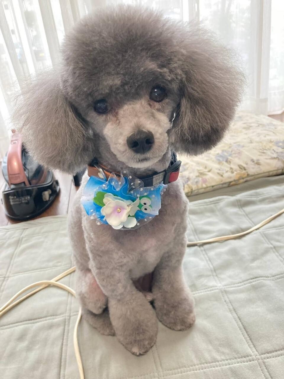 peguのページ | YAMAP / ヤマップ