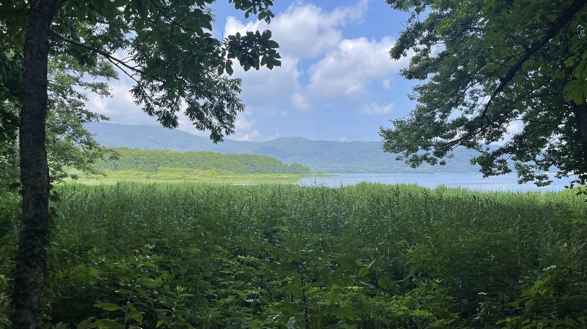 大尽山 🥾ハイキング / satorinさんの恐山（大尽山）・釜臥山の活動データ | YAMAP / ヤマップ