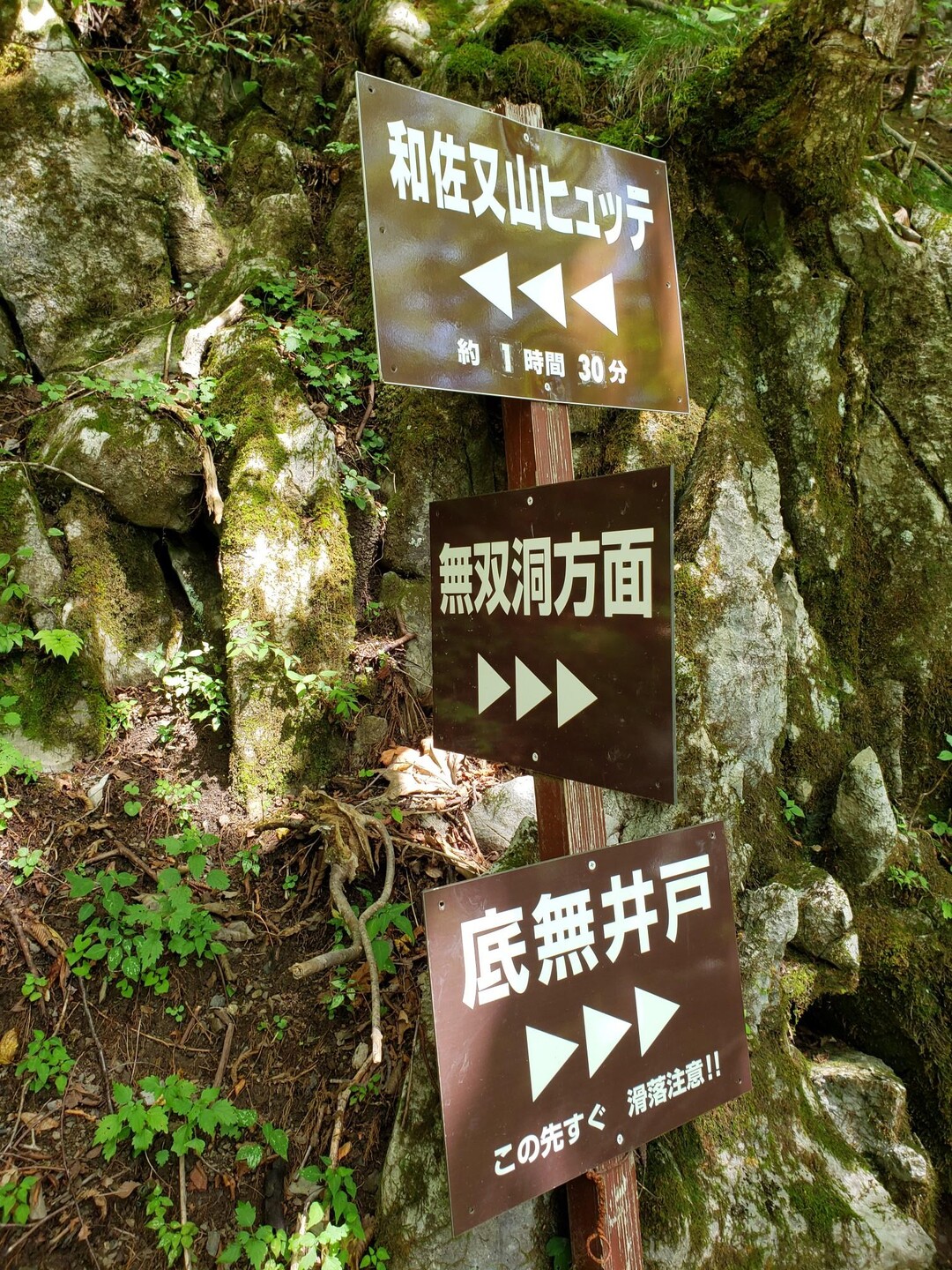 振り返り 2013養老山 御嶽山 ... / あきちゃんさんのモーメント | YAMAP / ヤマップ