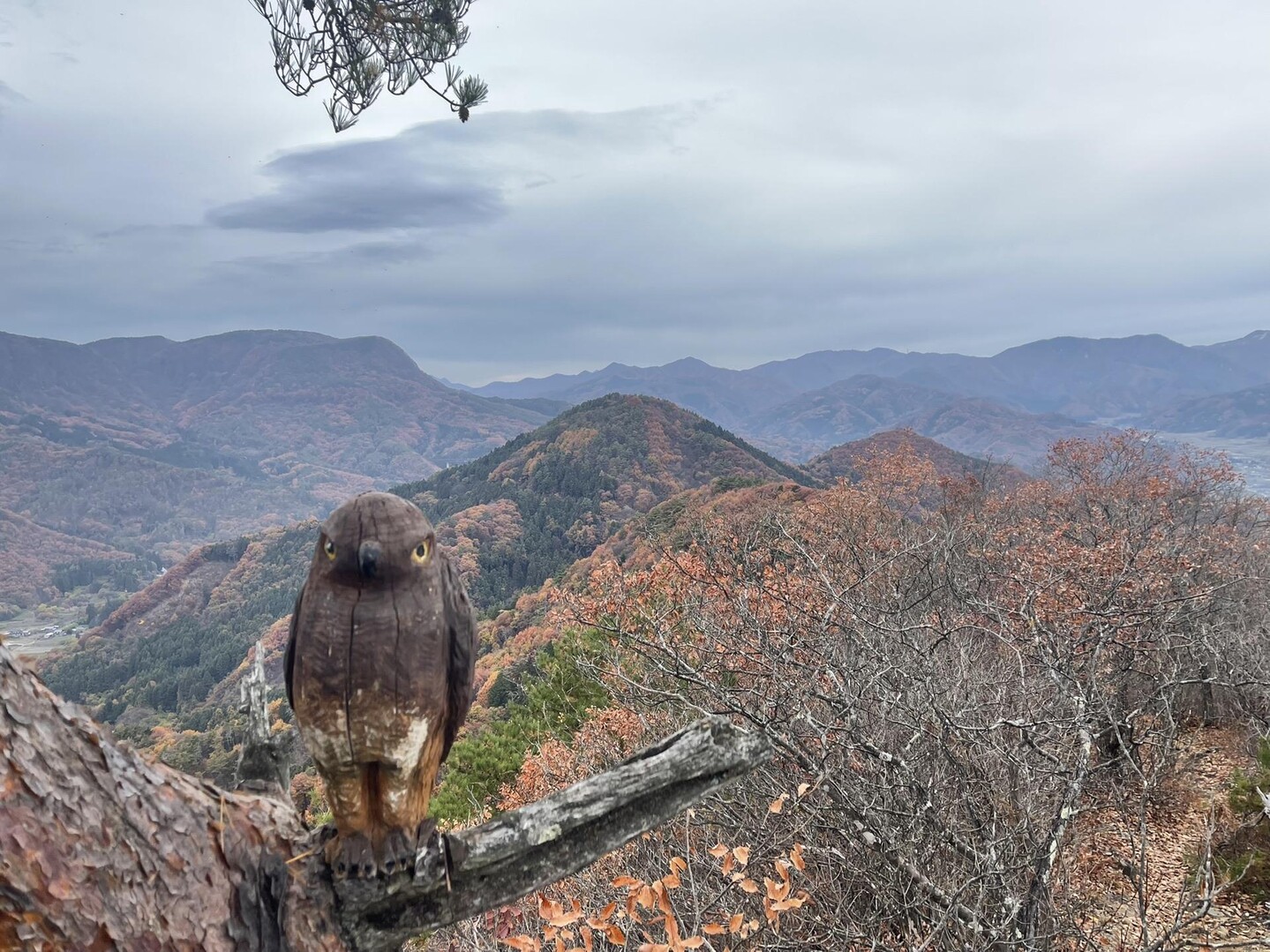 戸神山・高王山 / ぶんさんの戸神山・高王山の活動データ | YAMAP / ヤマップ