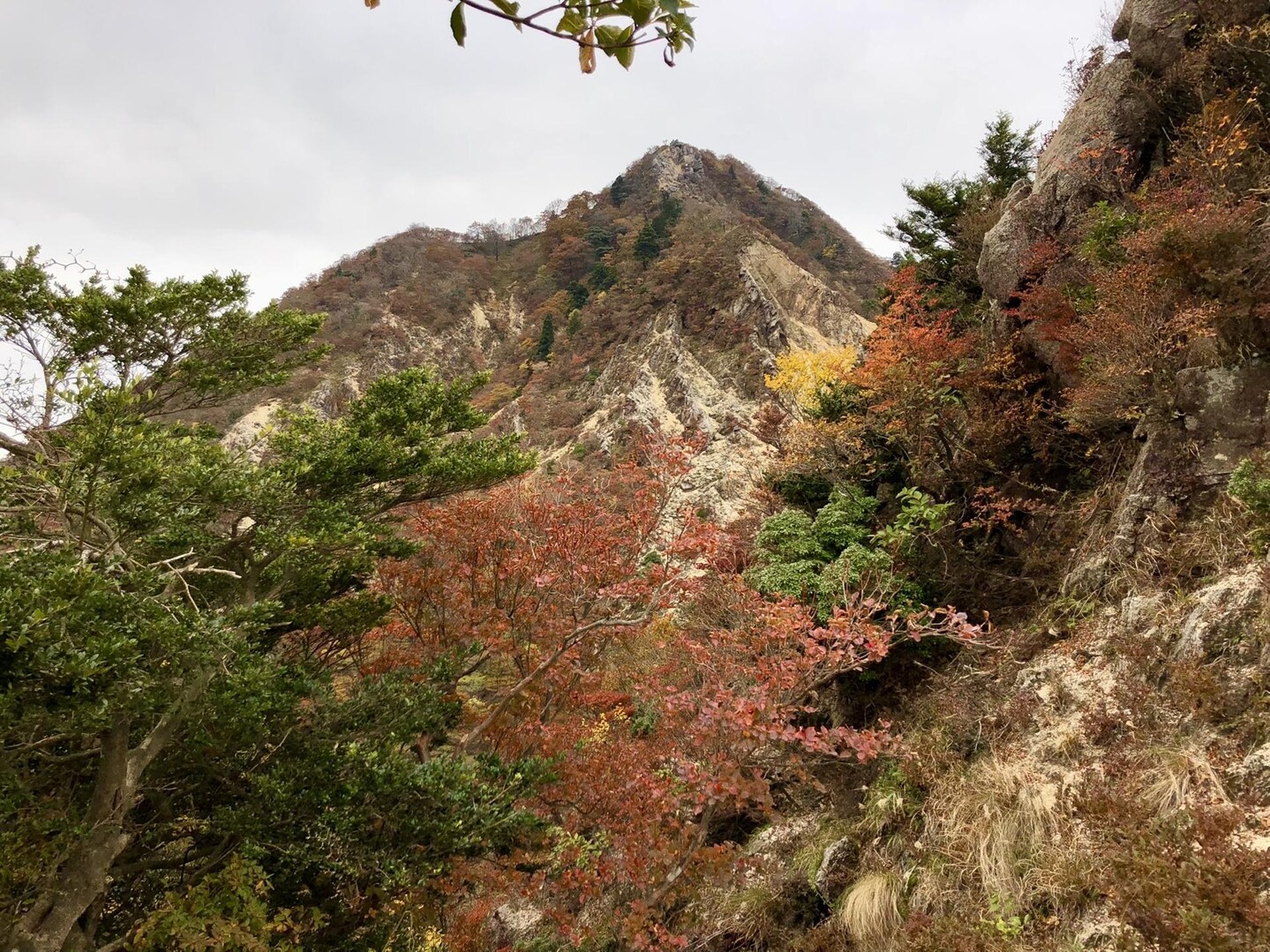 鎌の紅葉 / Nandoさんの御在所岳（御在所山）・雨乞岳の活動データ | YAMAP / ヤマップ