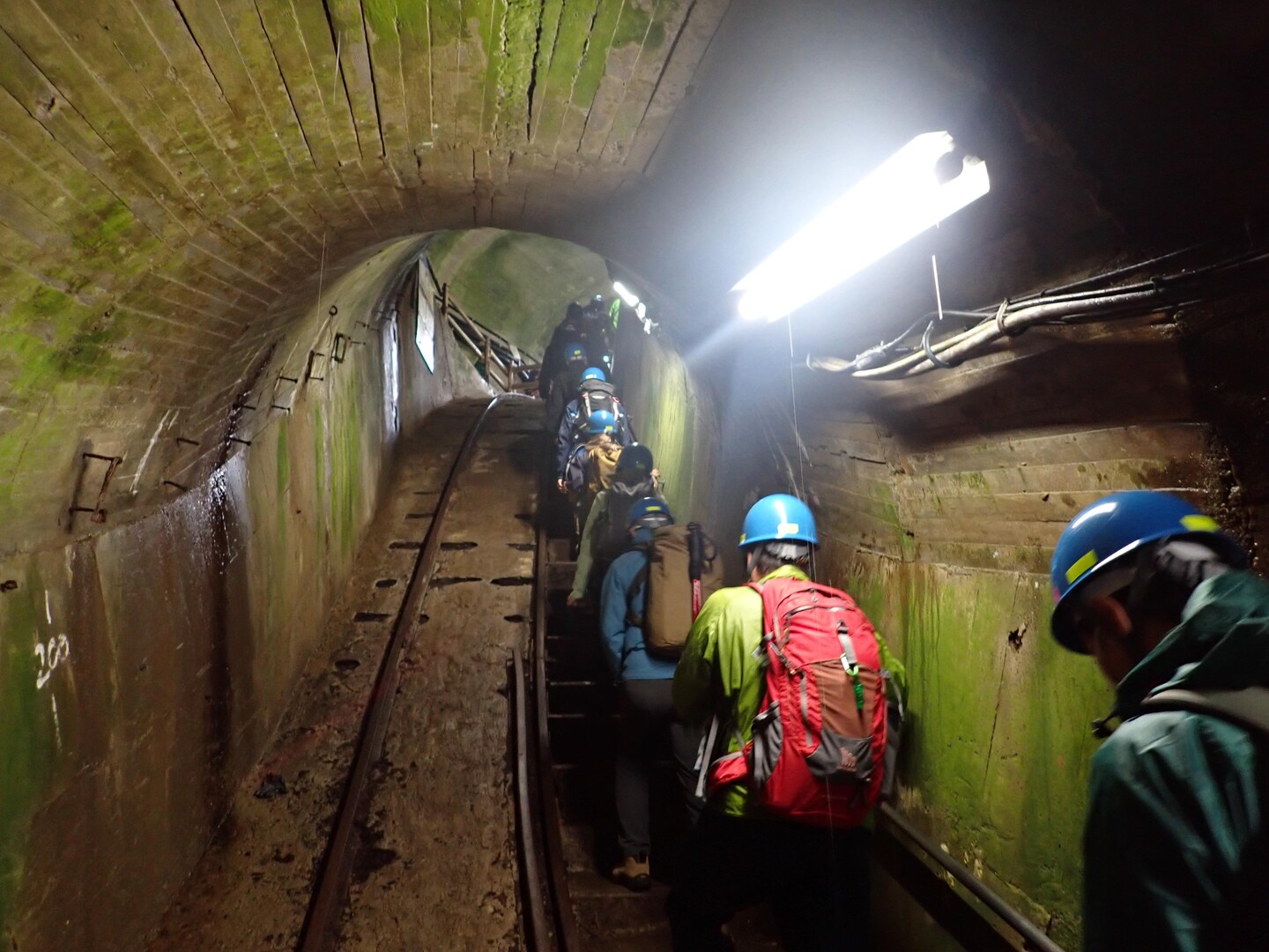 黒部峡谷 パノラマ展望ツアーに参加！(^_-) / 3110さんの観光の活動データ | YAMAP / ヤマップ