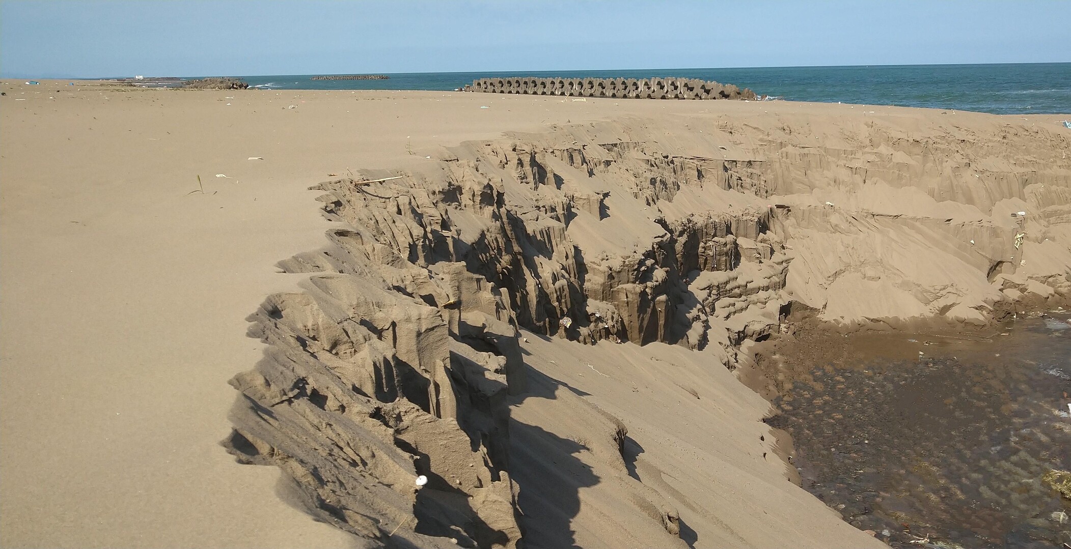 海と風と砂と五軒丁山 / SAGAPさんの奥獅子吼山・口三方岳・烏帽子山の活動データ | YAMAP / ヤマップ