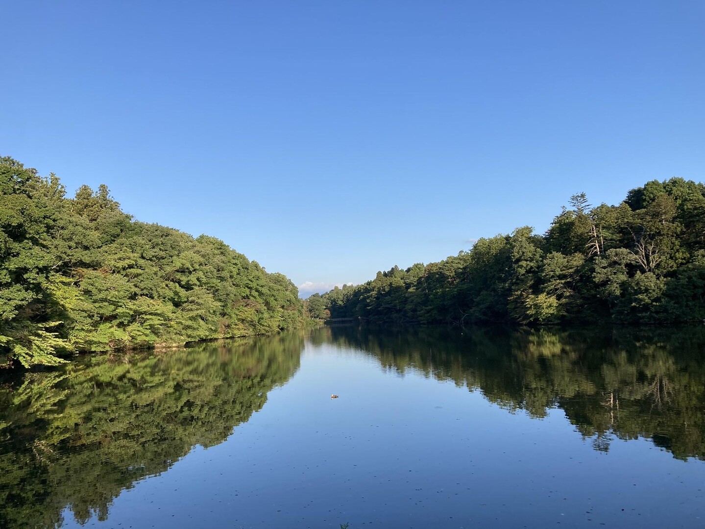 おはようございます^ ^ 今朝は気持ち... / OBsunさんのモーメント | YAMAP / ヤマップ