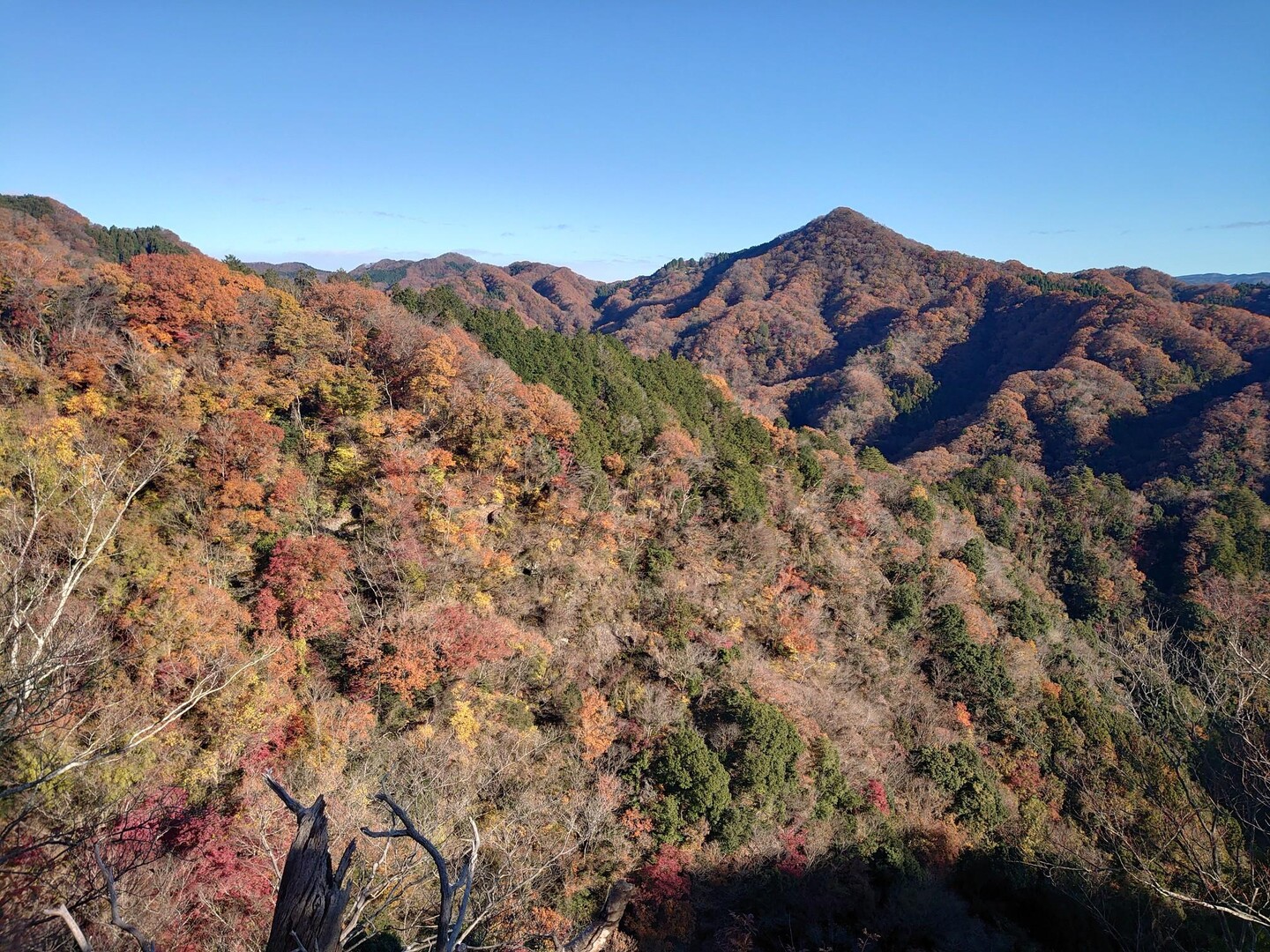 明山 / jinさんの奥久慈男体山・月居山・篭岩（篭岩山）の活動データ | YAMAP / ヤマップ