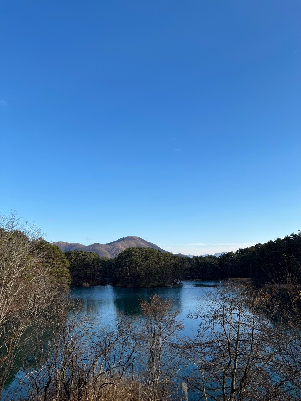 ADATARA NATURE CENTER / 安達太良自然センターさんの投稿したフィールドメモ | YAMAP / ヤマップ