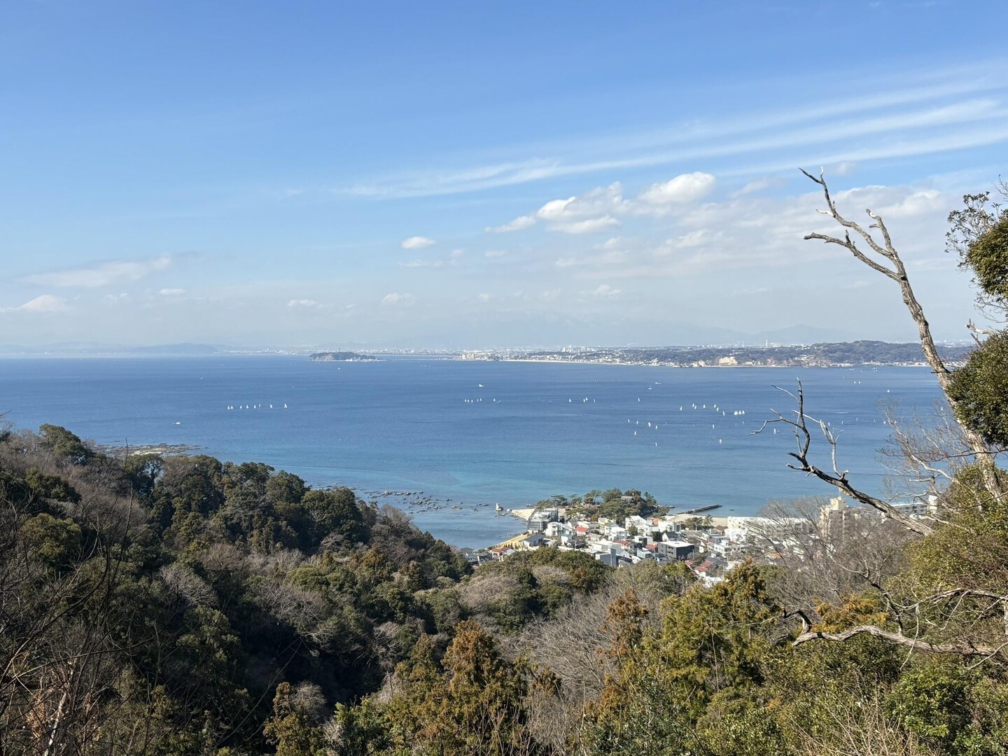 二子山（上の山）・二子山（下の山）・阿部倉山・大峰山・旗立山（鐙摺山） / mskふぅさんの三浦アルプス・二子山・仙元山の活動データ | YAMAP / ヤマップ