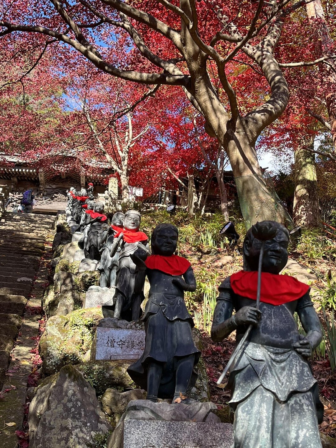 大山 / asさんの塔ノ岳・丹沢山・蛭ヶ岳の活動データ | YAMAP / ヤマップ