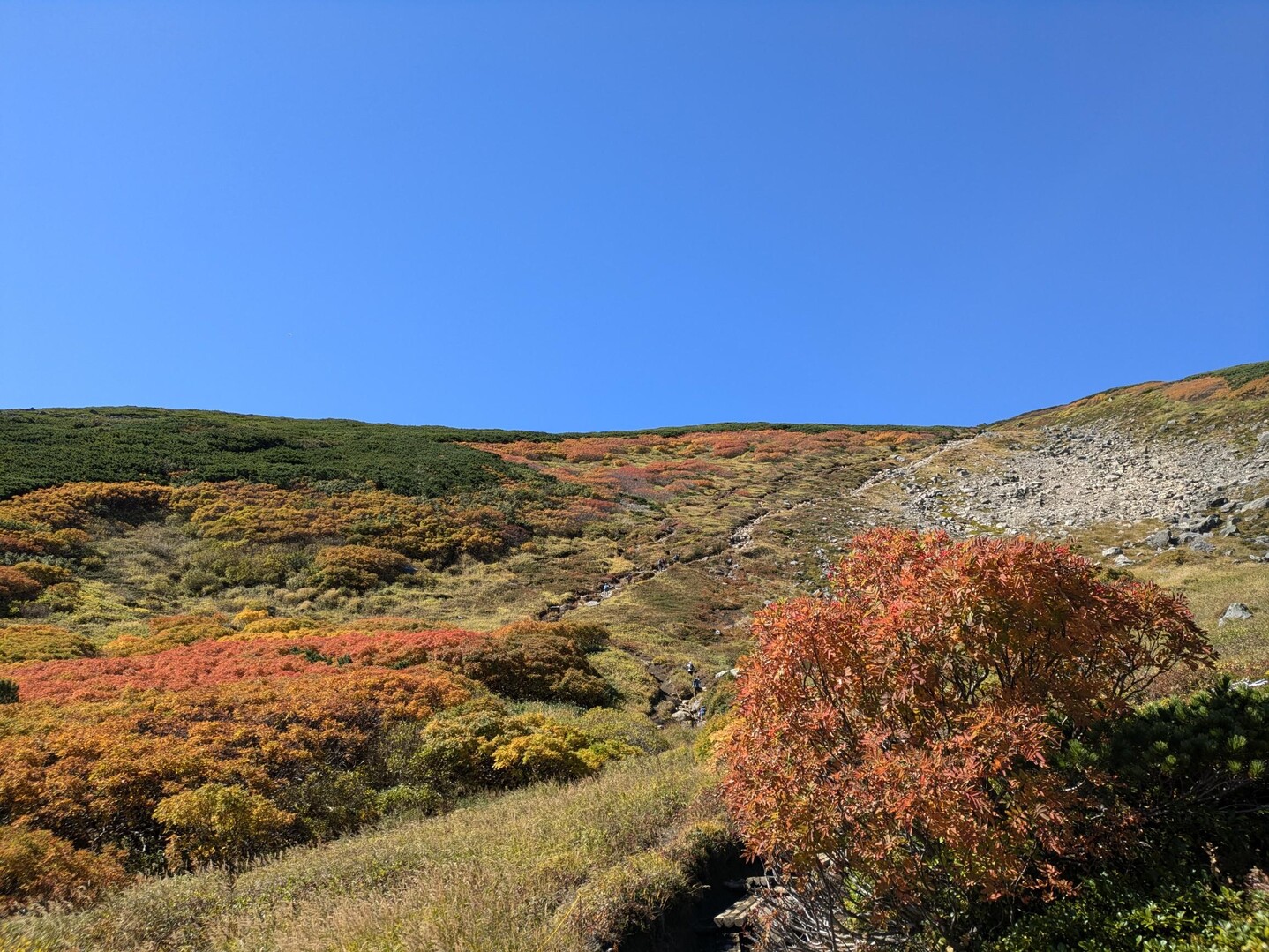 赤岳・小泉岳 / 松Gさんの大雪山系・旭岳・トムラウシの活動データ | YAMAP / ヤマップ