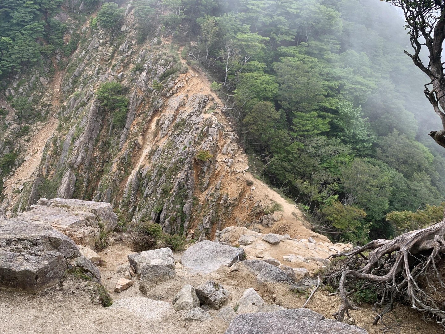 釈迦ヶ岳・猫岳 / fukapuさんの釈迦ヶ岳の活動データ | YAMAP / ヤマップ