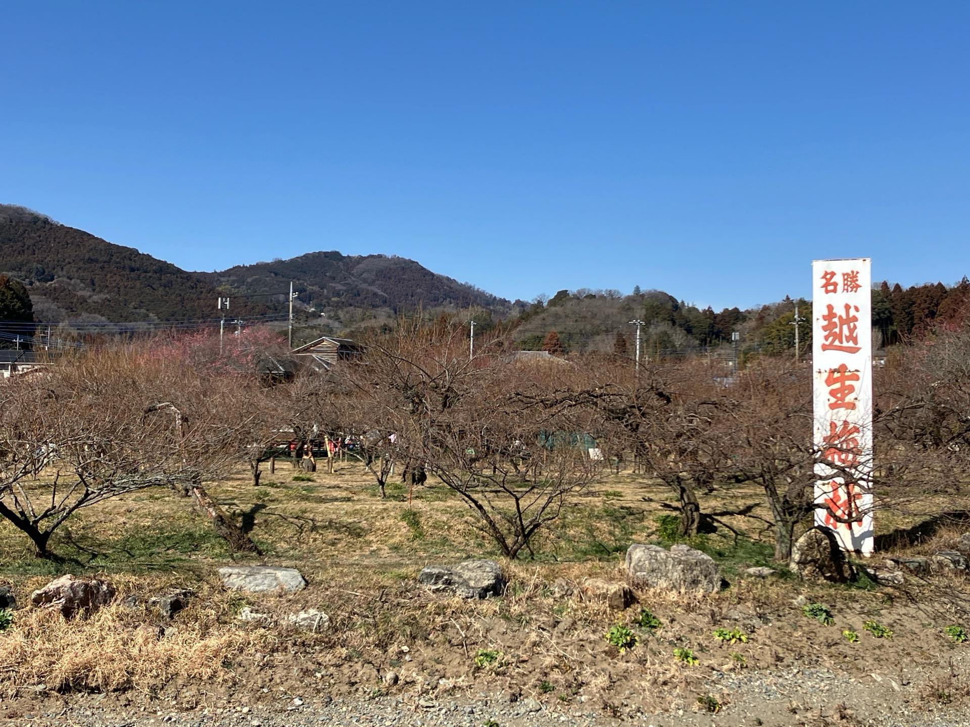 虚空蔵尊さくら山・西山富士・大高取山・神ノ座山 / yuta さんの大高取山の活動データ | YAMAP / ヤマップ
