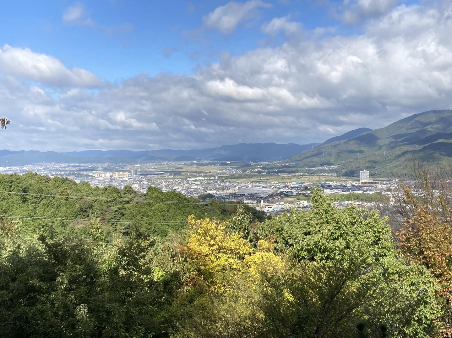 長尾山 篠ICから周回 / あちさんの明神ヶ岳・黒柄岳の活動データ | YAMAP / ヤマップ