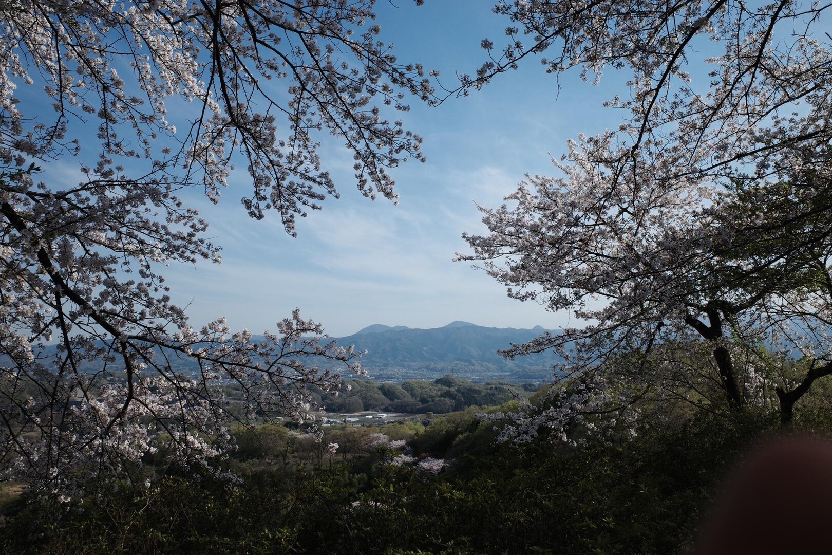 崇台山 / Westさんの崇台山の活動データ | YAMAP / ヤマップ