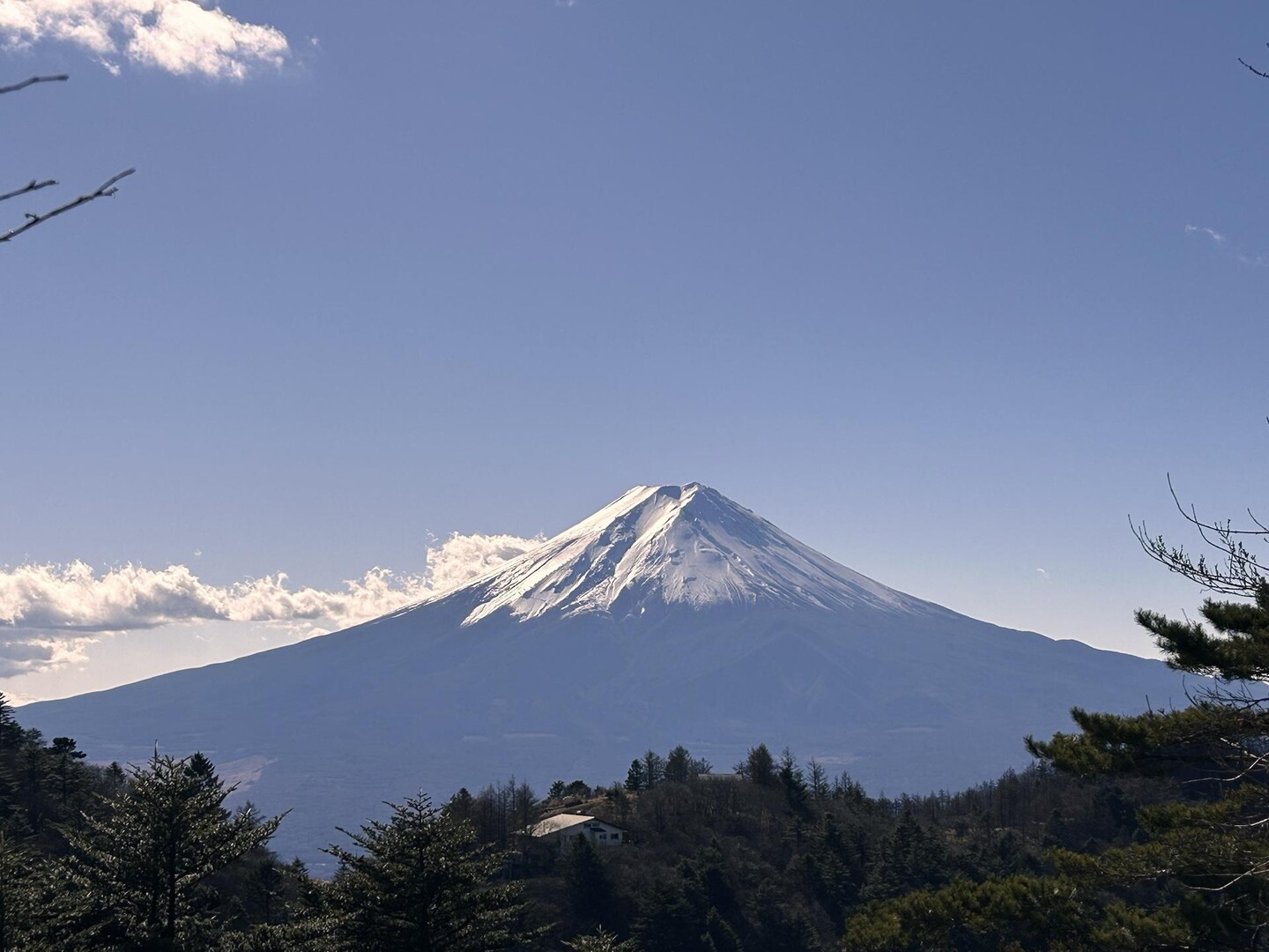 庭洞山・角研山・石切山・本社ヶ丸・清八山・ヤナ沢ノ頭・大幡山・茶臼山・御巣鷹山・三ッ峠山（開運山） / NORIHIROさんの三ッ峠山・本社ヶ丸・鶴ヶ鳥屋山の活動データ | YAMAP / ヤマップ