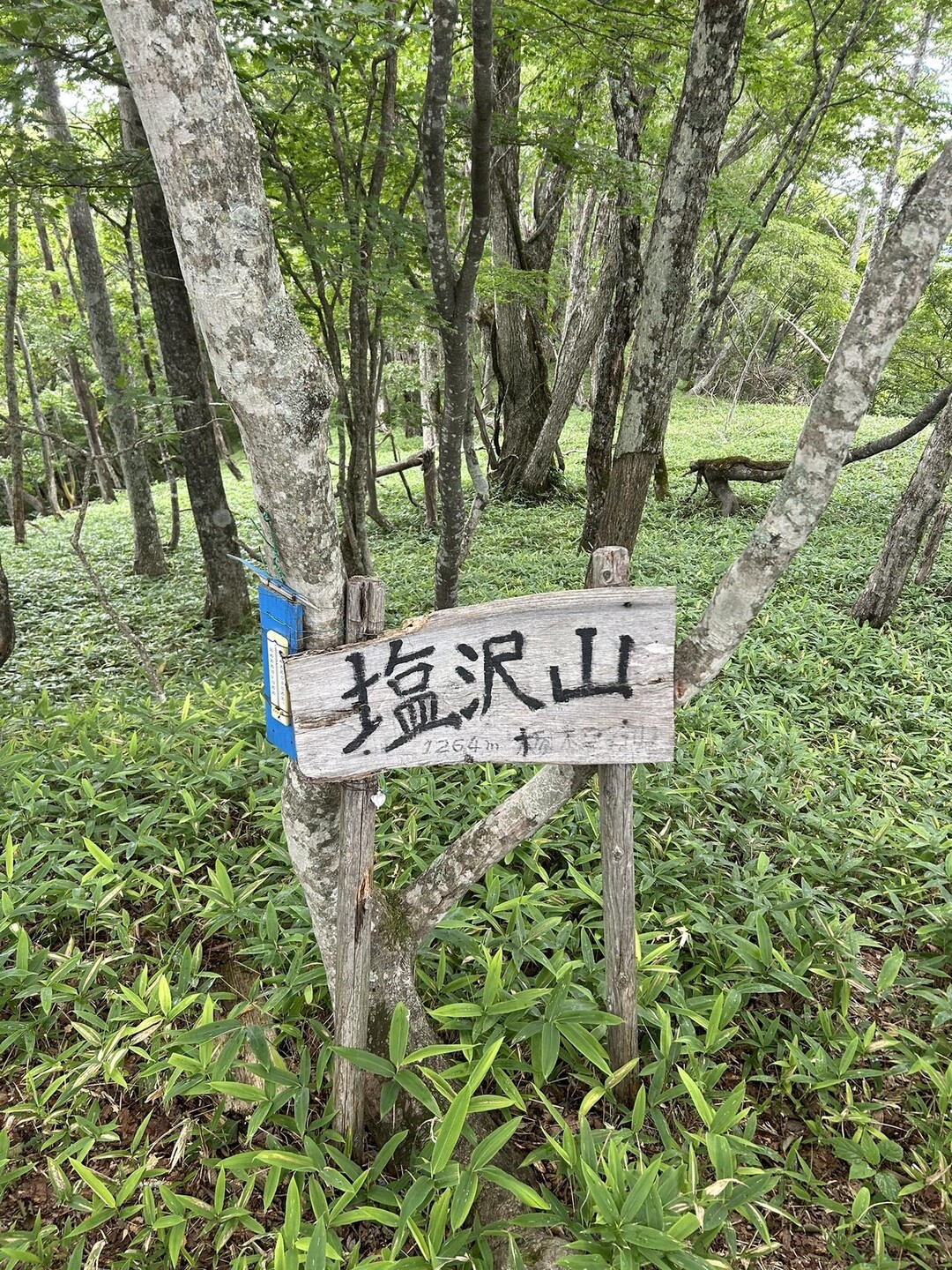 塩沢山 / yuu39さんの塩沢山の活動データ | YAMAP / ヤマップ