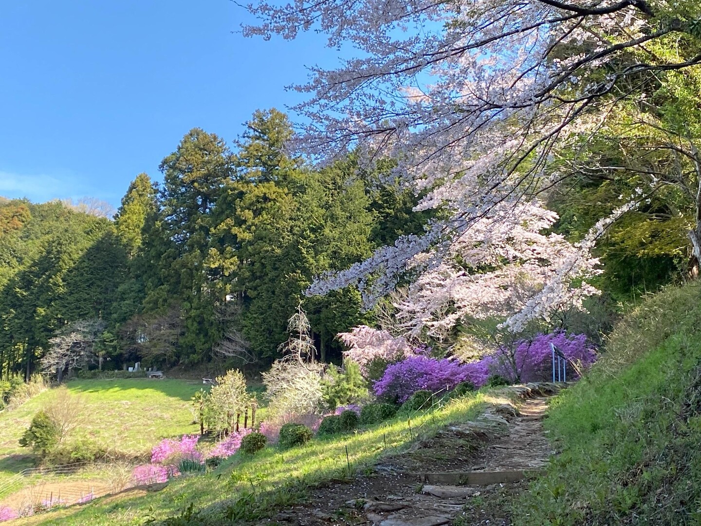 育代山・大平山 吾野駅から黒山三滝へ / Water Rabbitさんの関八州見晴台の活動データ | YAMAP / ヤマップ