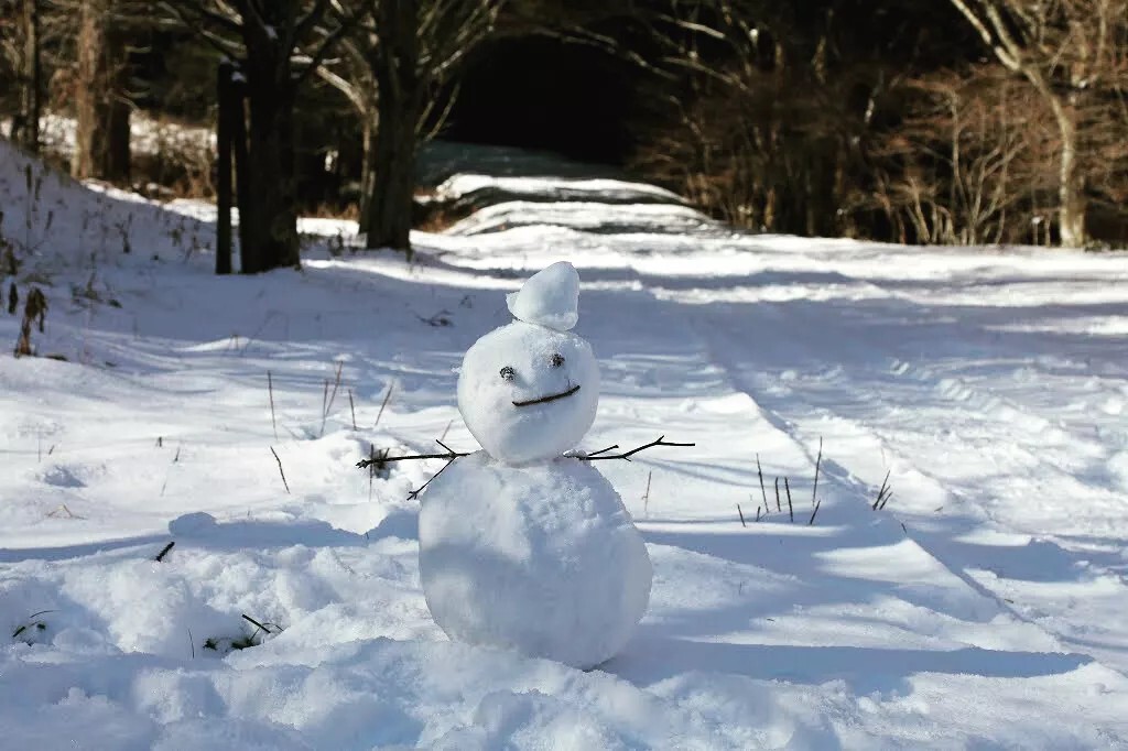 皿ヶ嶺の風穴森林公園での雪遊び、ソリ遊び... / natuさんのモーメント | YAMAP / ヤマップ