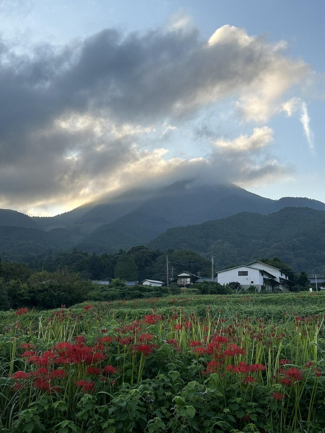 1泊2日糸島トリップ で お散歩ラン🏃‍♀️ / takakoさんのランニングの活動データ | YAMAP / ヤマップ