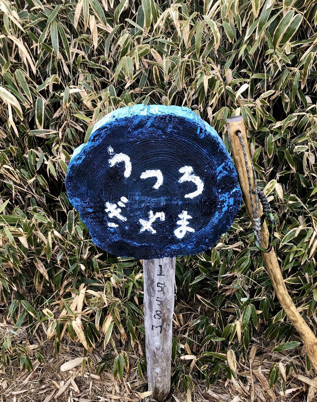 うつろぎ山・青笹山・十枚山 / IMOさんの青笹山の活動データ | YAMAP / ヤマップ